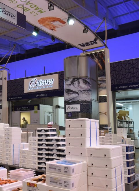 J’Océane | SOCADIF